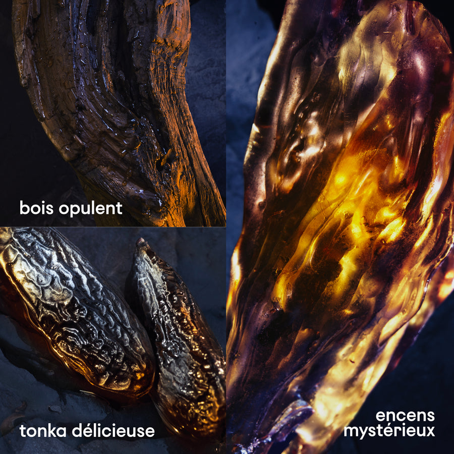 Invictus Victory Elixir Parfum – Preciosa